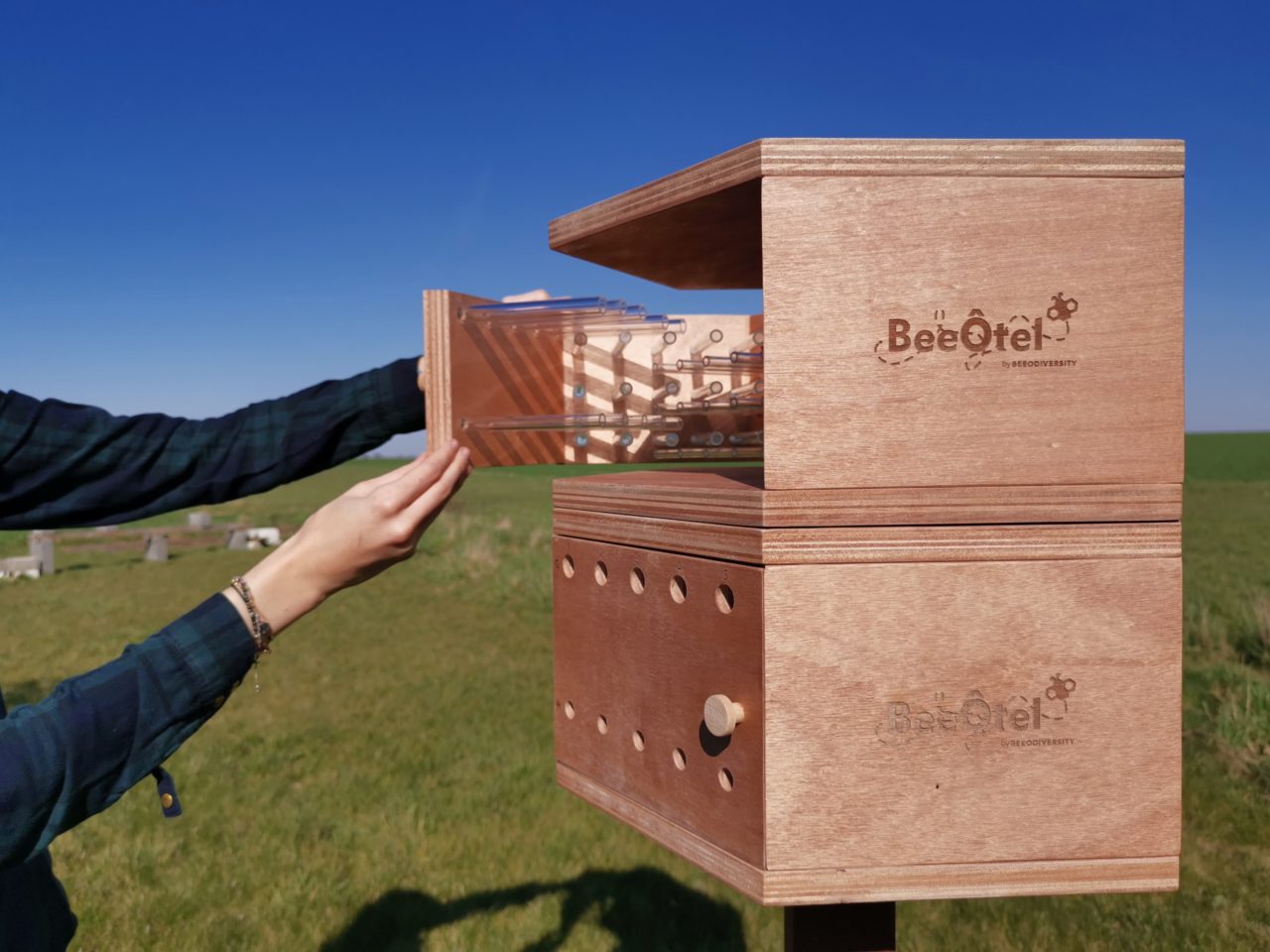 Biomonitoring, monitoring by bees | BeeOdiversity