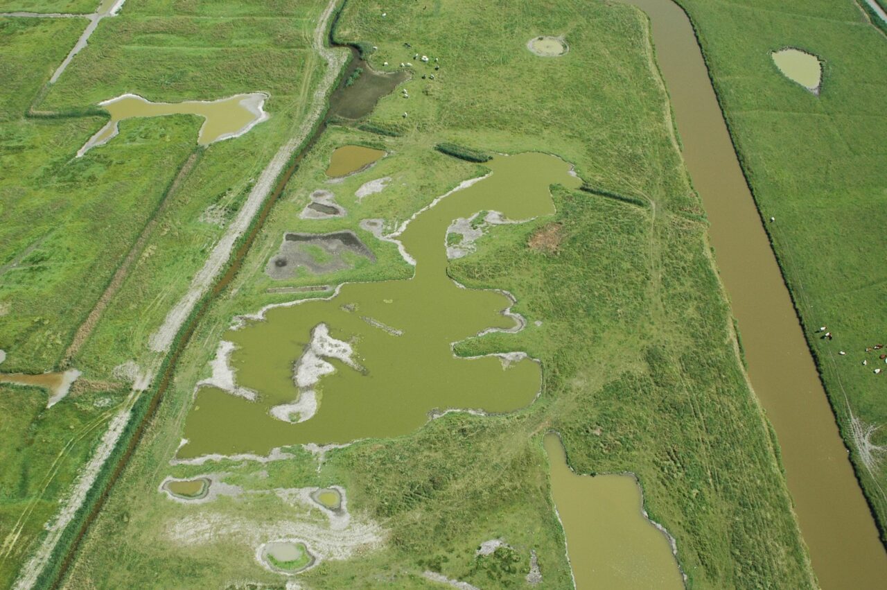 Interreg NWE Buffer+ project - BeeOdiversity