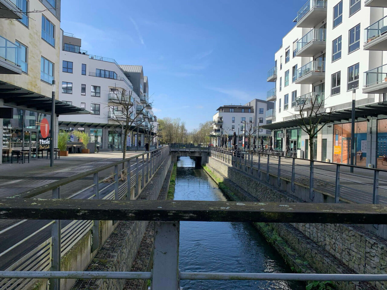 Real estate: How biodiversity can boost your BREEAM score? Preparing ...